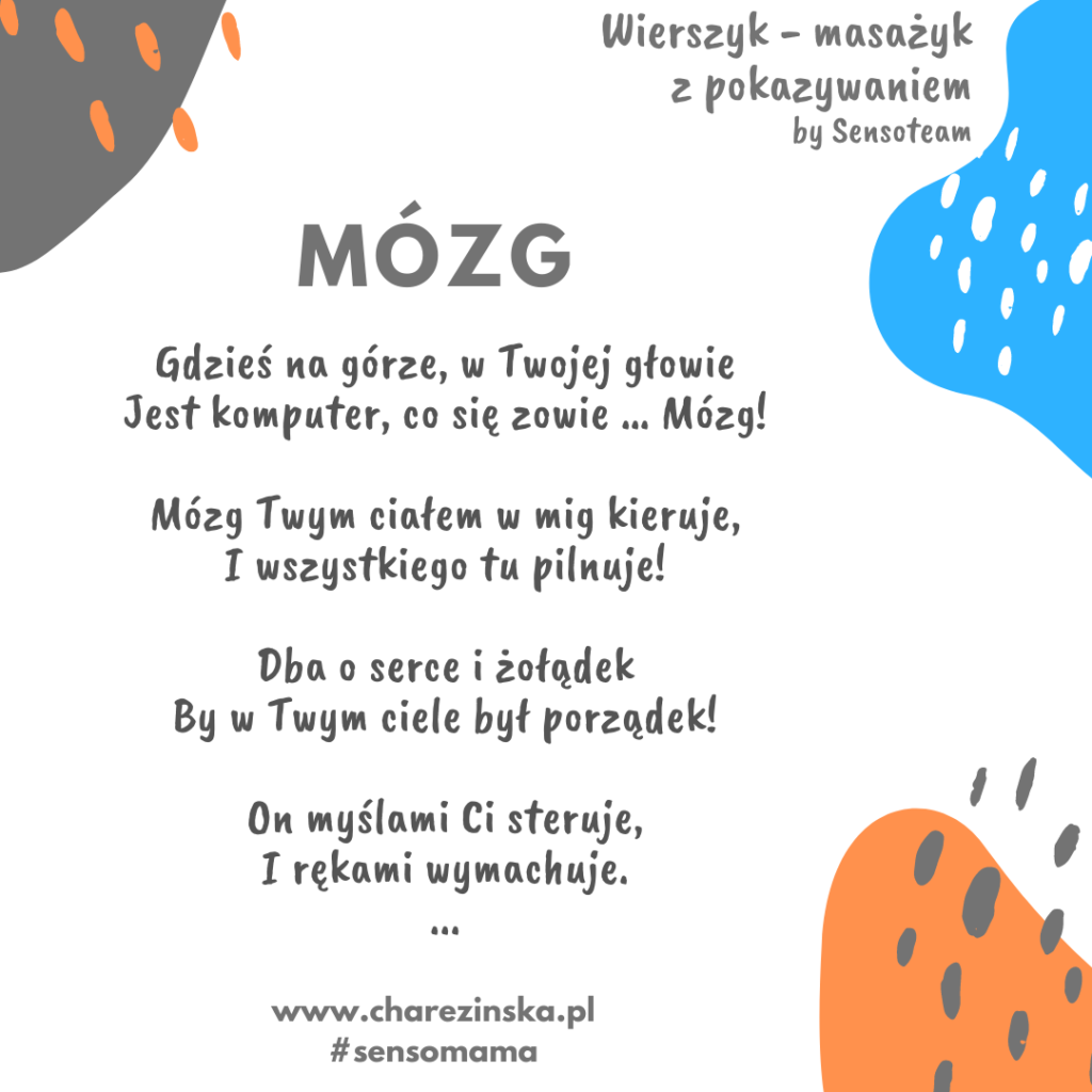 Mózg - wierszyk - masażyk z pokazywaniem - Wspieranie Rozwoju Dzieci
